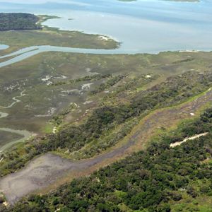 Blackbeard Island North Pond: Georgia Coast Atlas