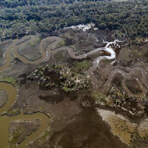 Hog Pond: Georgia Coast Atlas