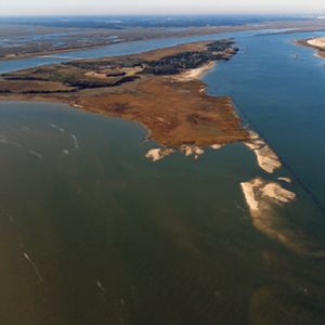 Cockspur Island: Georgia Coast Atlas
